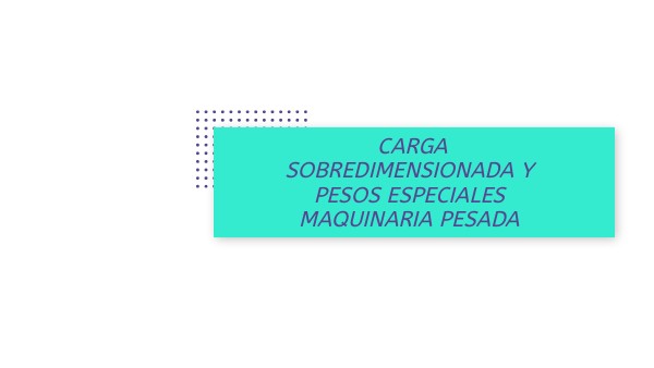 CARGA SOBREDIMENSIONADA