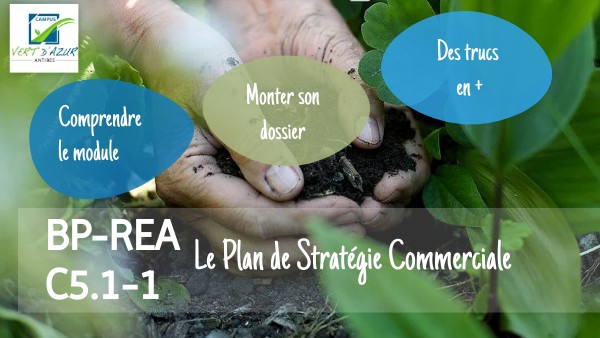 BP-REA C5.1-1 | Genially