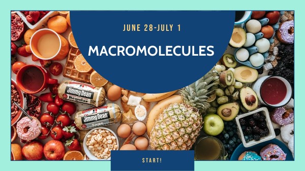 Macromolecules Week 4 | Genially