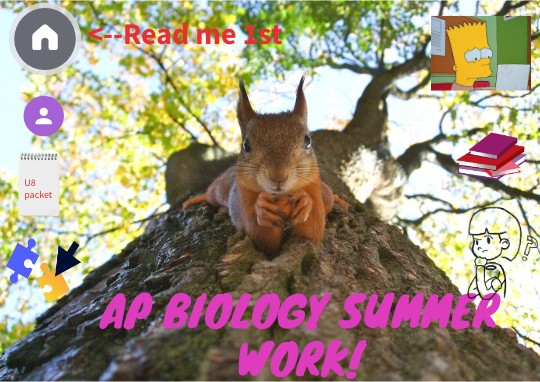 2021-20 AP Bio Summer Work