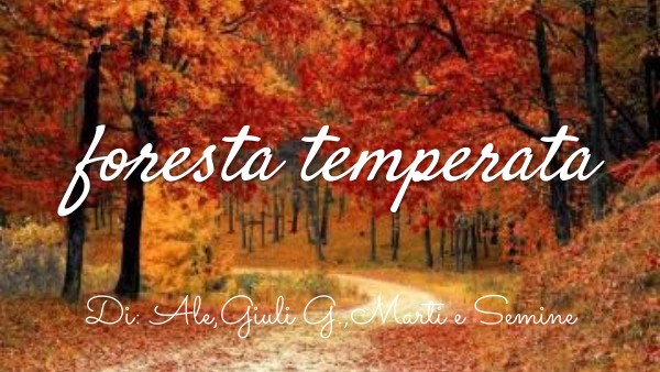 FORESTA TEMPERATA