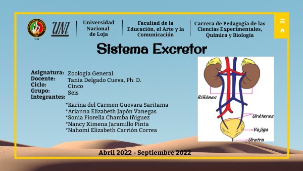 Exposición del sistema excretor