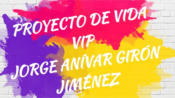 Proyecto de Vida VIP