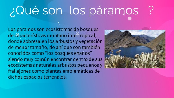 los paramos