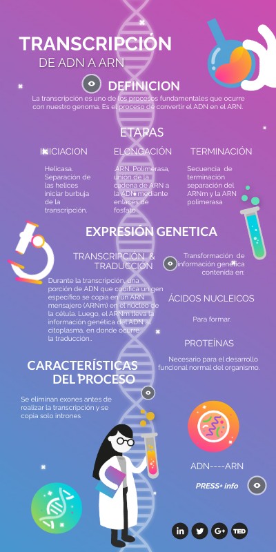 TRANSCRIPCIÓN DE ADN A ARN | Genially