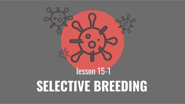 Selective Breeding Project