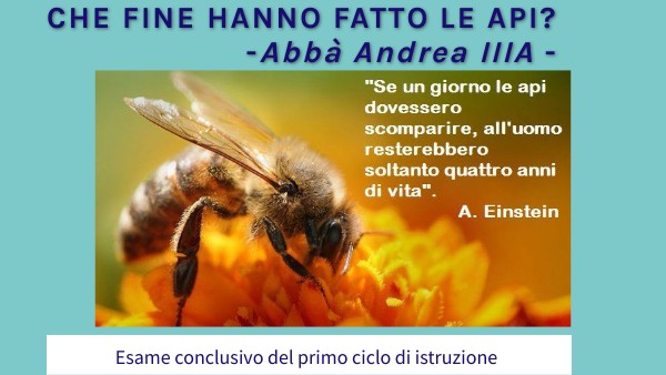 CHE FINE HANNO FATTO LE API?