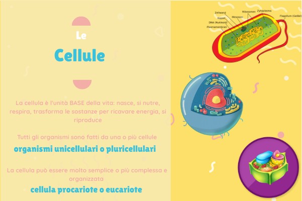 Le cellule | Genially
