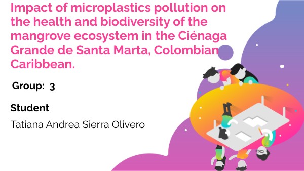 Task 3 - Impact of microplastics pollution on the health and biodivers