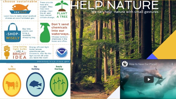 How to help nature | Genially