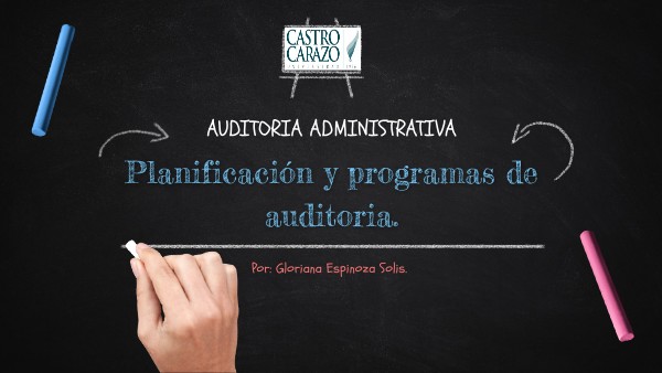 PLAN Y PROGRAMAS DE AUDITORIA