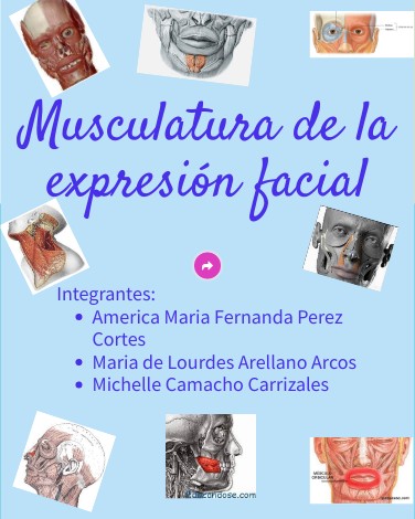 musculatura de la expresión facial | Genially