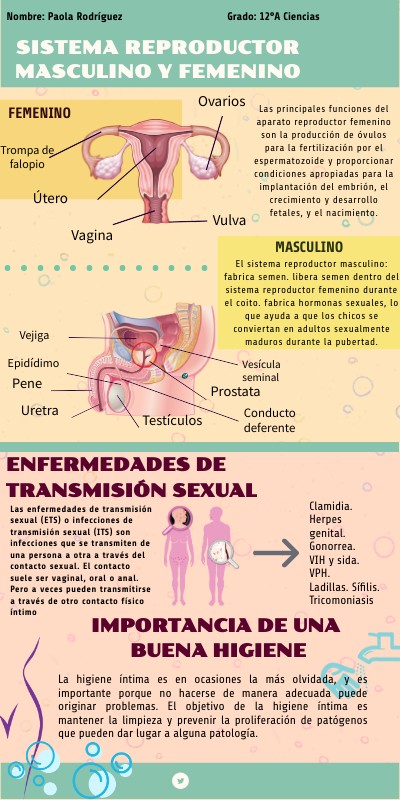 INFO VERTICAL CÉLULAS | Genially