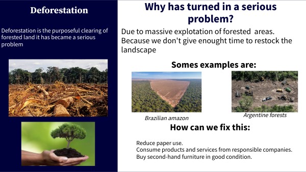 The deforestation | Genially