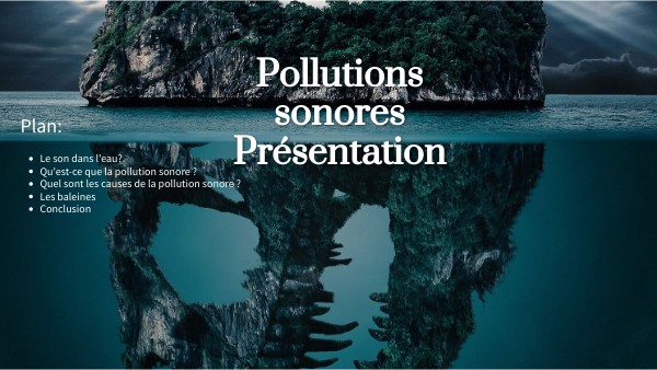 POLLUTION PRESENTATION