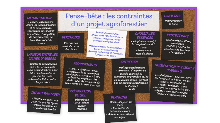 Pense-bête : contraintes projet agroforestier