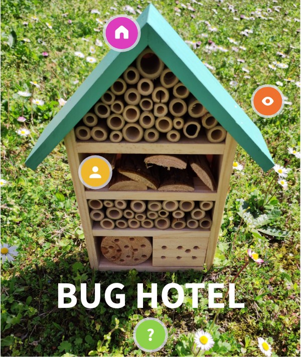 Bug Hotel | Genially