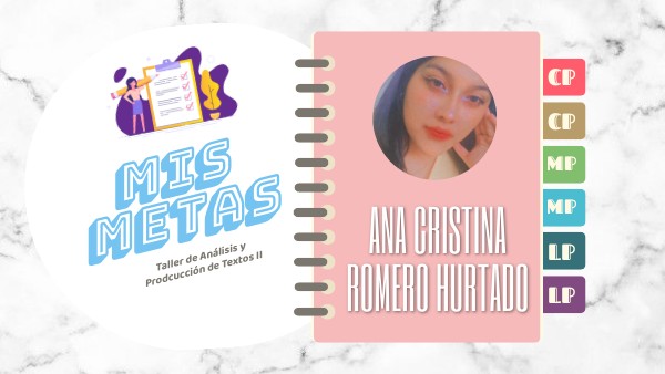 MIS METAS
