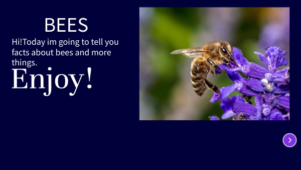 Bees! | Genially
