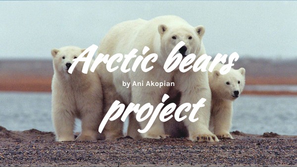 arctic bears project | Genially