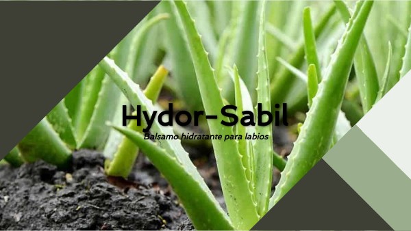 HYDOR-SABIL | Genially