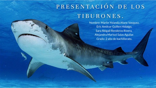 PRESENTACIÓN tiburon | Genially
