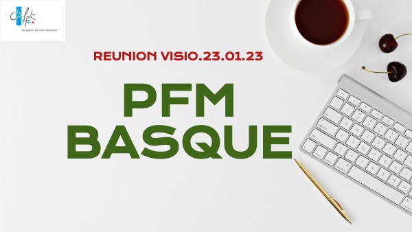 REUNION PFM BASQUE DU 23012023 | Genially