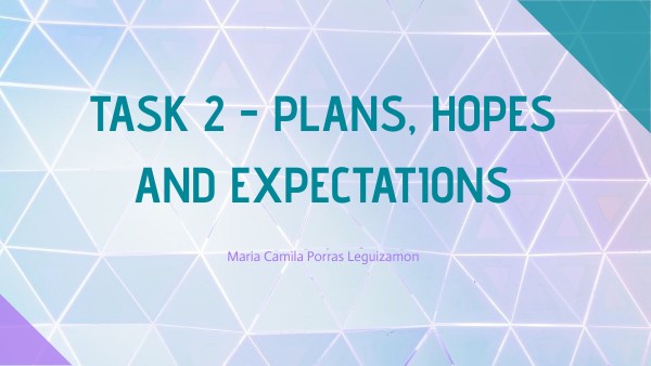 Task 2 - Plans Hopes and Expectactations