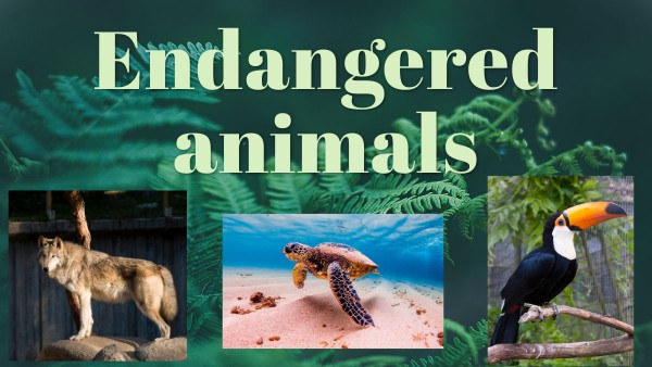 endangered animals | Genially