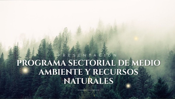 PROGRAMAS SECTORIALES AMBIENTALES