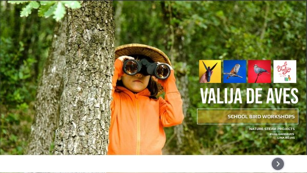 BIRD WATCHING IN SCHOOLS