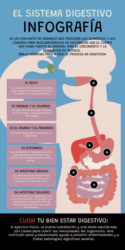 INFO VERTICAL DIGESTIVO | Genially