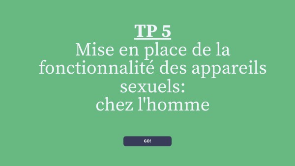 TP5 Raphaël et Gaël