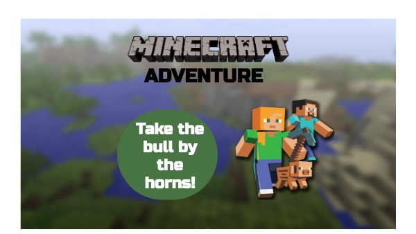A Minecraft Adventure-Physical description