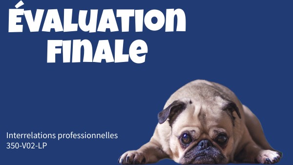 Évaluation finale IP