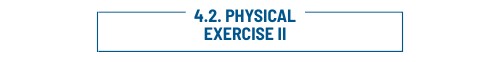4.2. Physical exercise II