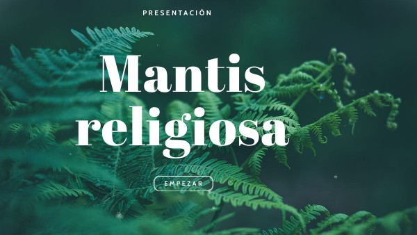 PRESENTACIÓN Mantis religiosa | Genially