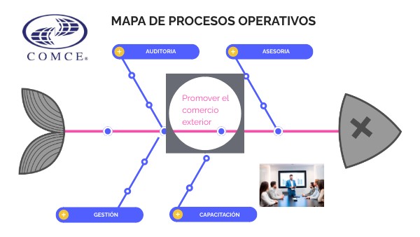 Mapa de Procesos Operativo | Genially