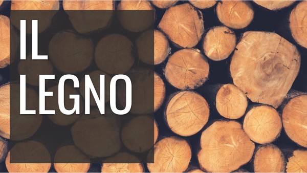 Il legno