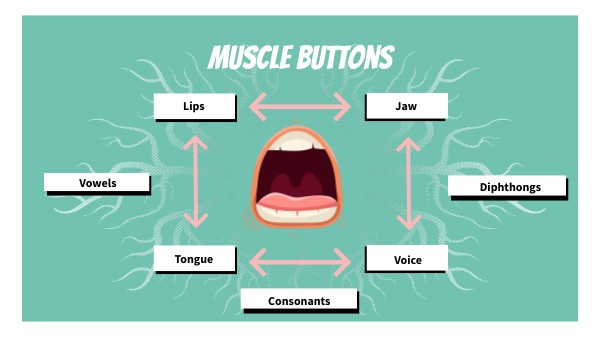 Muscle Buttons | Genially