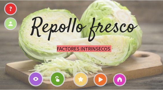 Repollo fresco grupo E