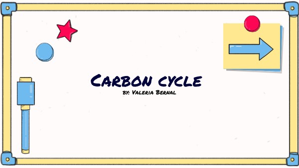 carbon cycle