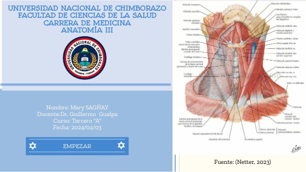 ANATOMÍA DEL CUELLO | Genially