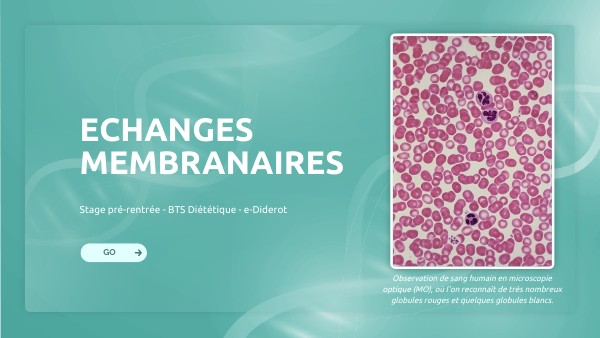 Echanges membranaires | Genially