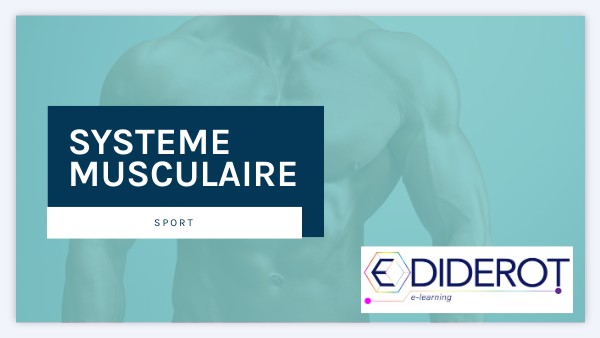 SYSTEME MUSCULAIRE | Genially