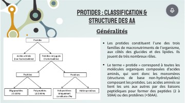 2027 Protides : Classification & structure des AA | Genially