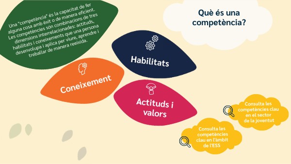 Cat- 8 - Competences