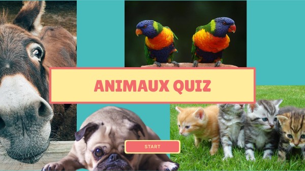 ANIMAUX QUIZ | Genially