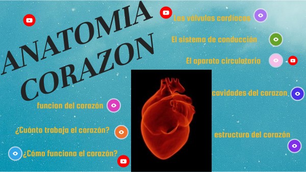 ANATOMIA DEL CORAZON | Genially