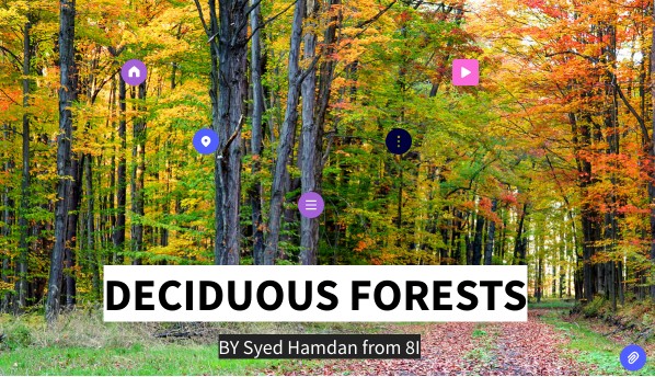 Deciduous forests | Genially